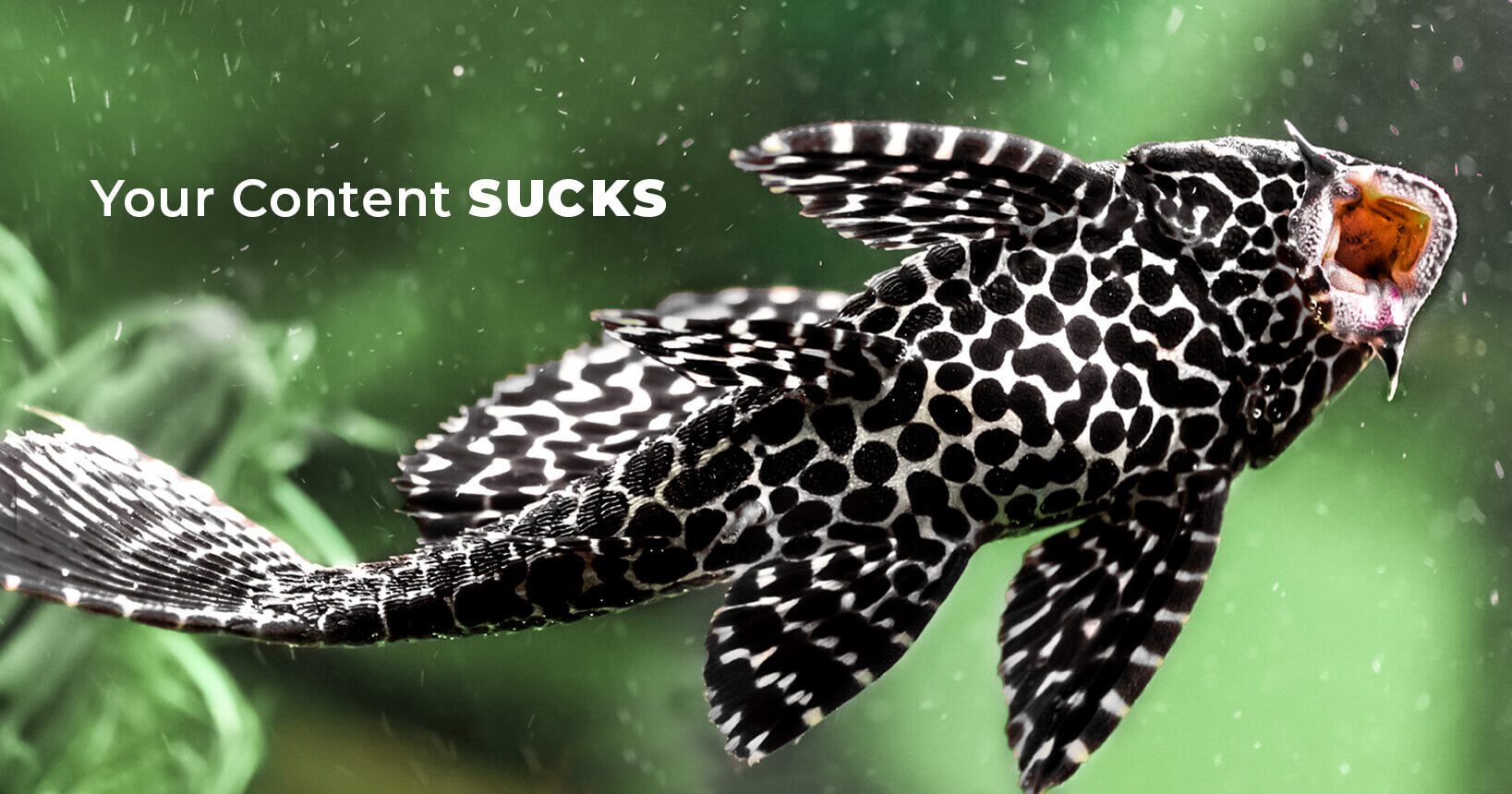 Content Marketing 101 | How to Make Content Your Audience Cares About